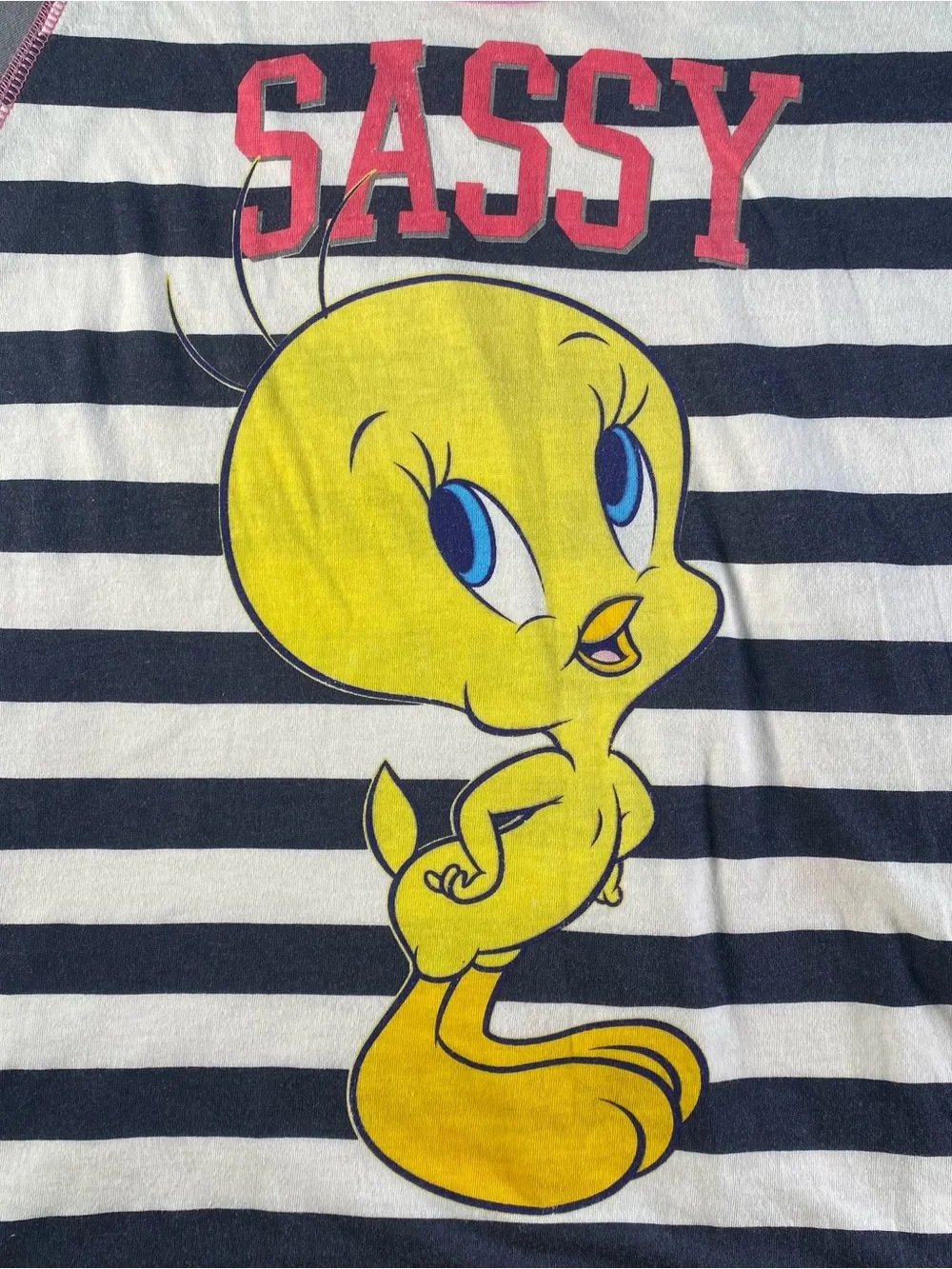 Warner Bros. | Tops | Y2k Early 200s Warner Bros Looney Toons Tweety ...